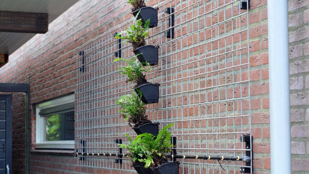 Uw eigen muur met Gevelplanten? | Gevelplanten.com